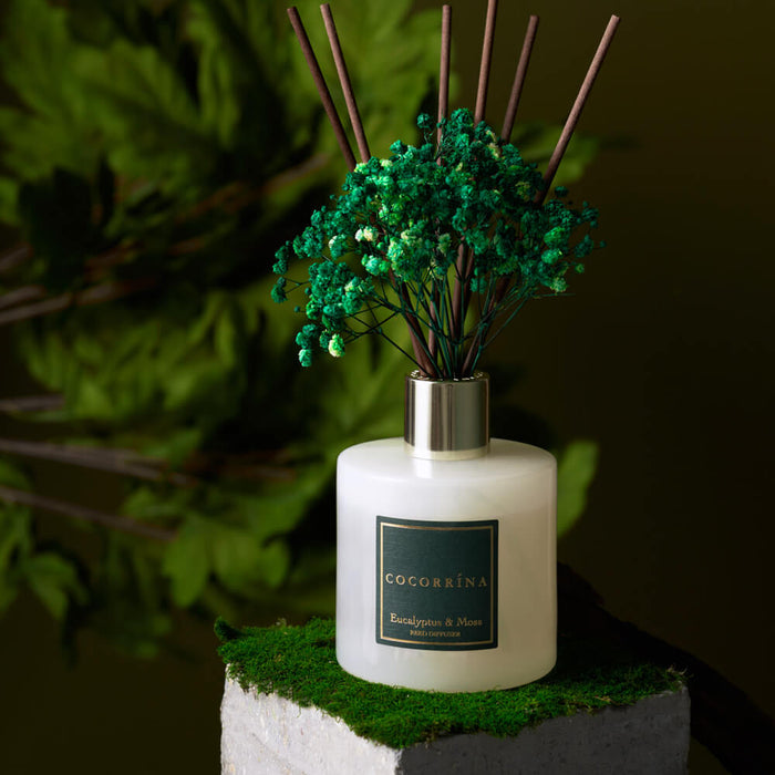 Cocorrína Apple Cider Reed Diffuser Set w Preserved Baby's Breath