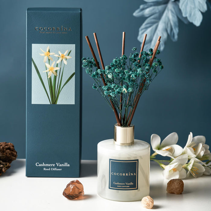 Cocorrína Cashmere Vanilla Reed Diffuser Set