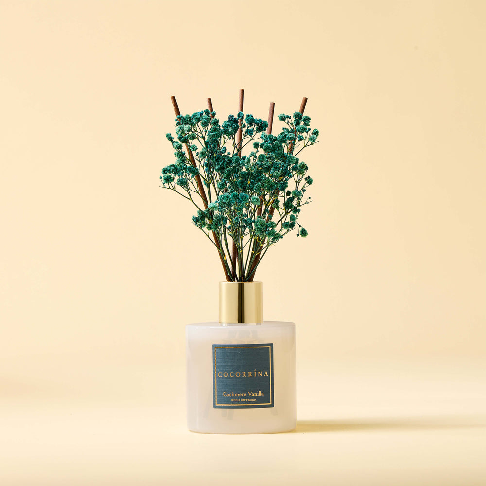 Cocorrína Cashmere Vanilla Reed Diffuser Set