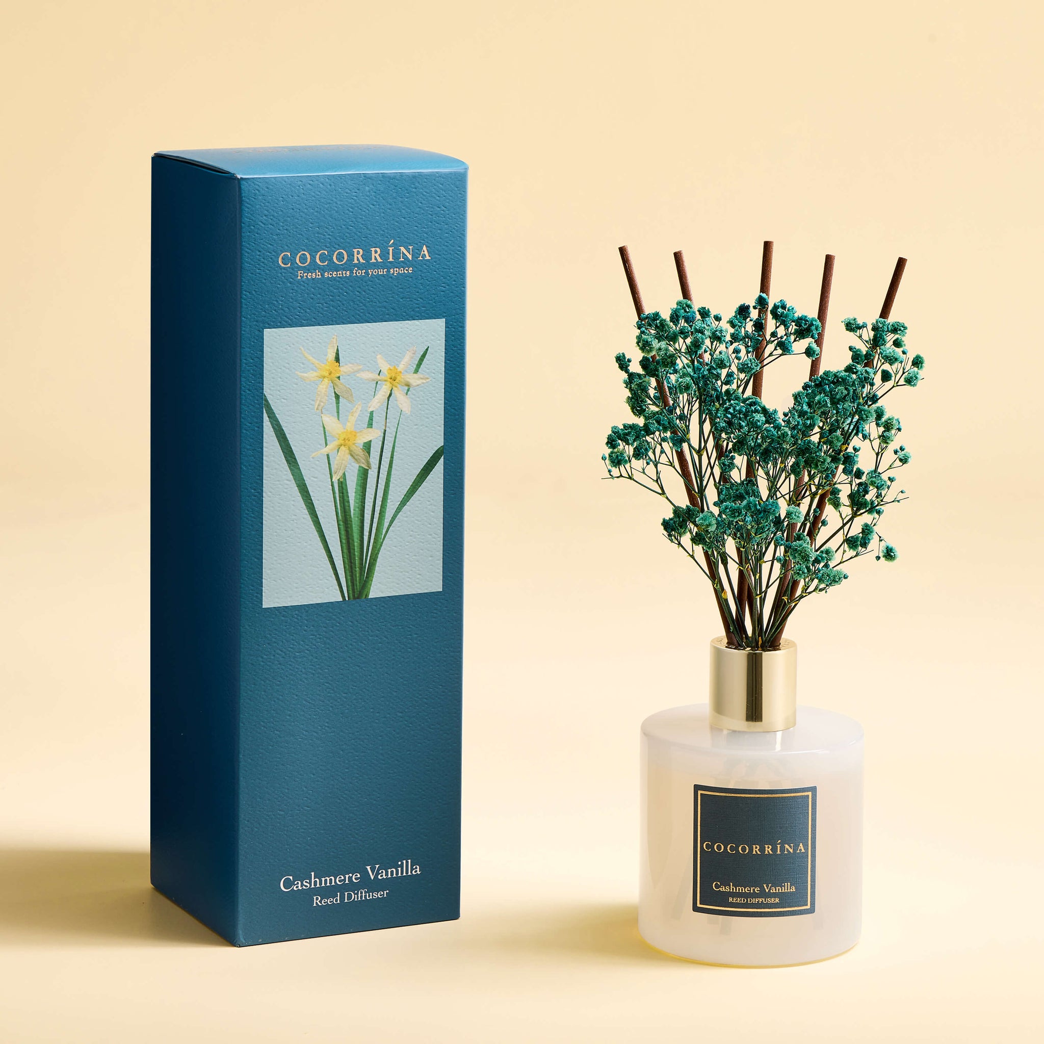 Cocorrína Cashmere Vanilla Reed Diffuser Set